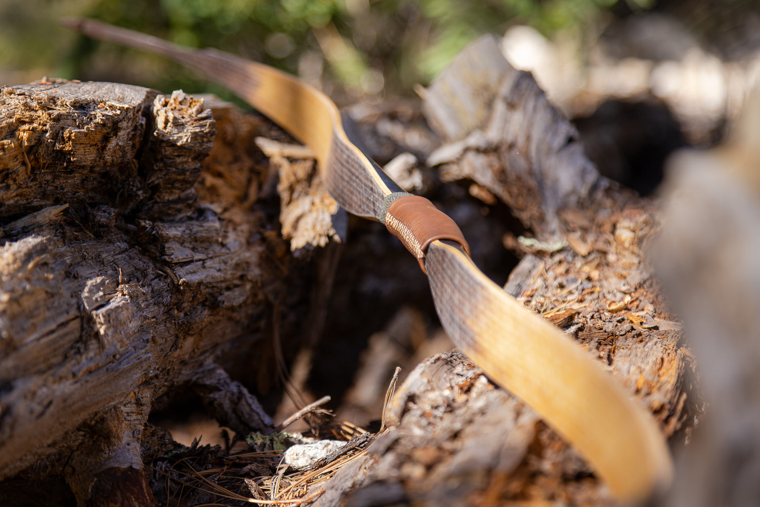 Rider bow, quiver, thumb rings – Asianbows